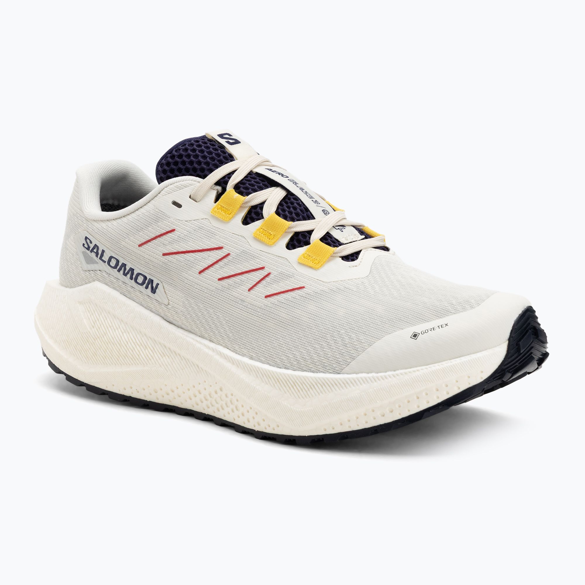Men's running shoes Salomon Aero Blaze 3 Gravel GTX vanilla ice/astral ...